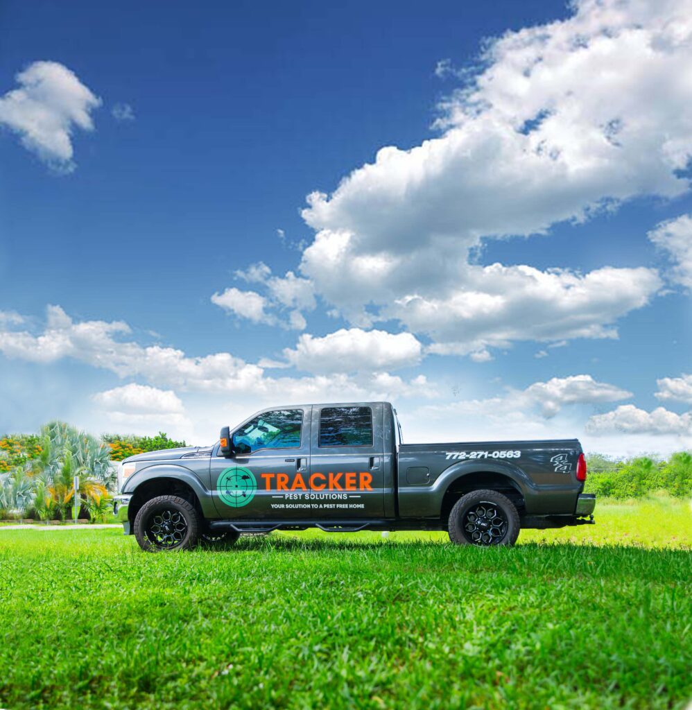 Pest Control Company Based in Vero Beach | Tracker Pest