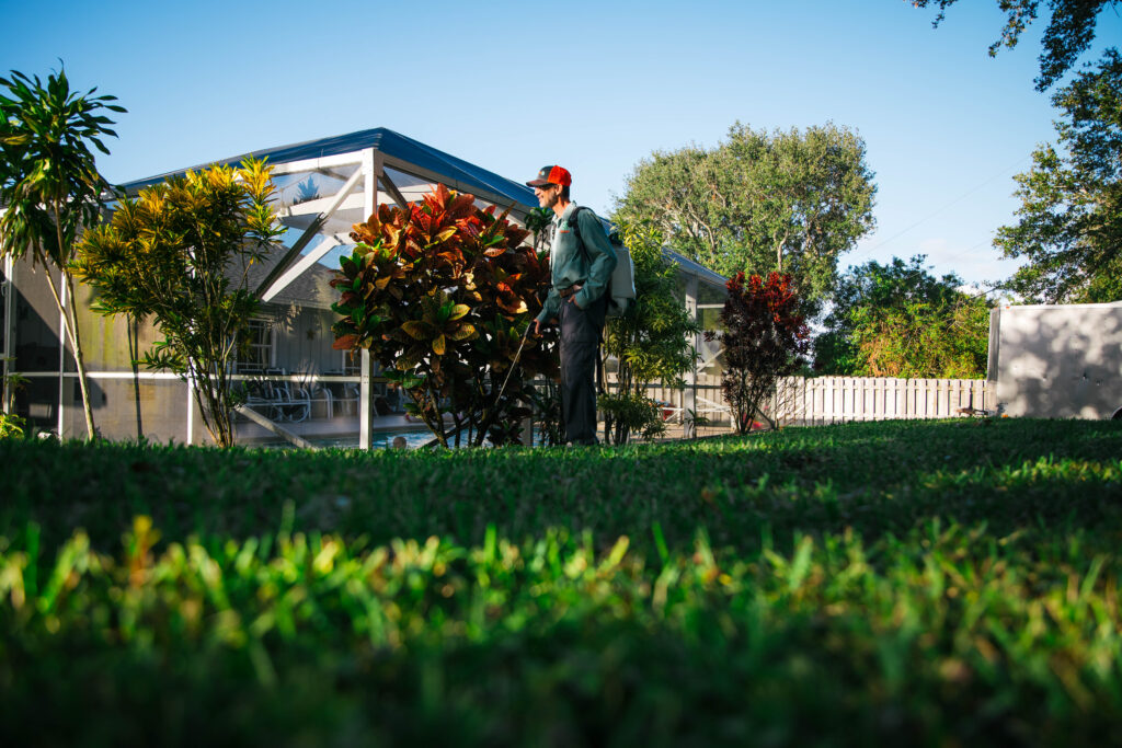 Pest Inspections - Tracker Pest Solutions